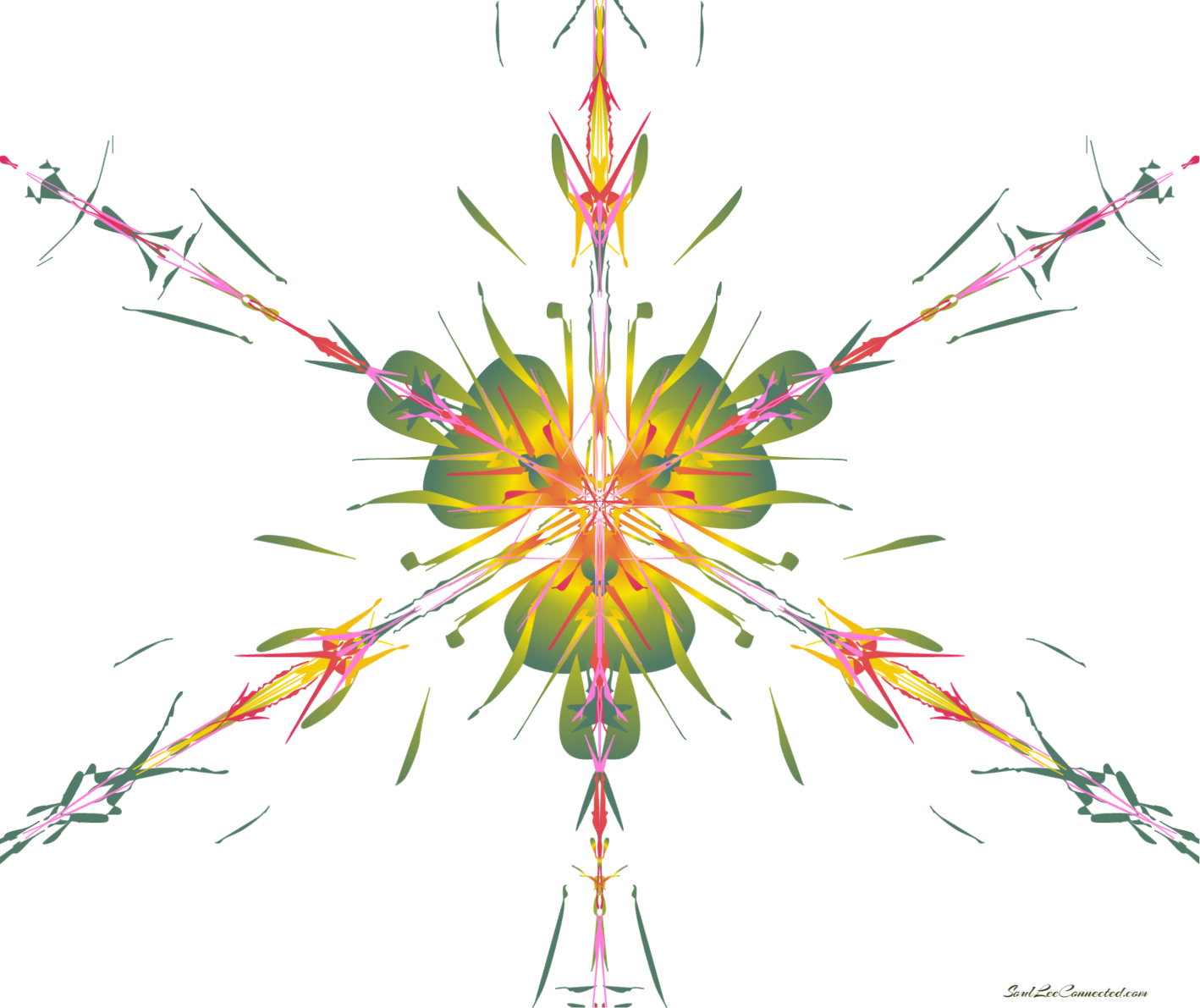 Personal Light Codes – SoulLee Connected