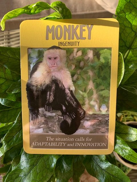 Be within Flow – SoulLee Connected