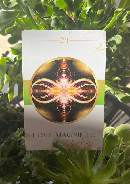 Love Magnified – SoulLee Connected